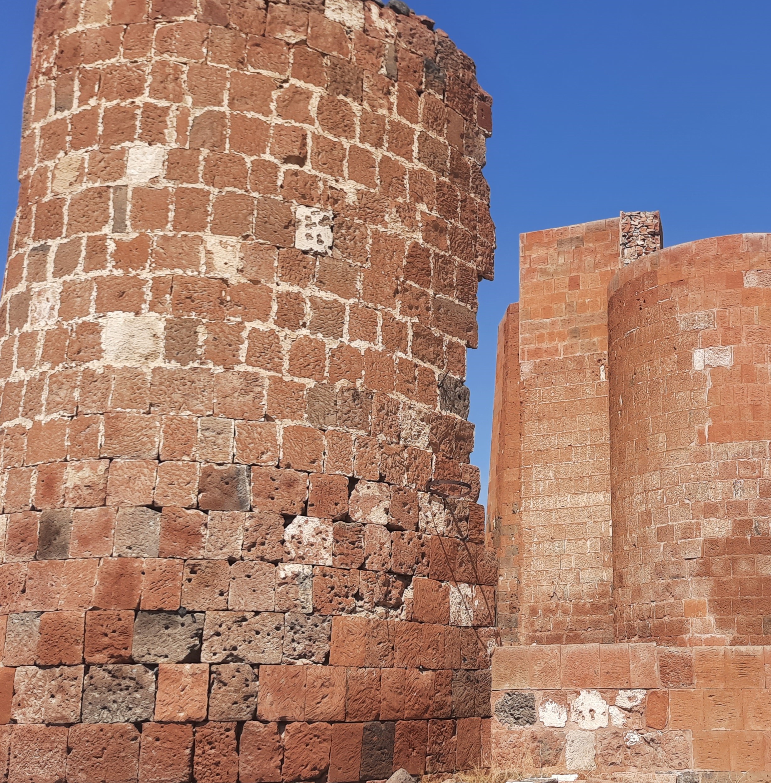 Բացառիկ տուր դեպի «Արփի լիճ» ազգային պարկ, Դաշտադեմ, Մարմաշեն + Խորոված ...